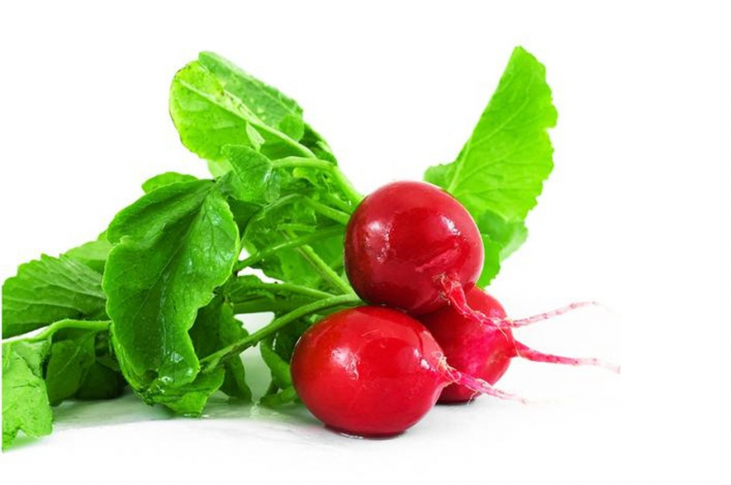 RADISH - Sync with Nature