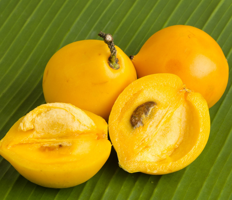MUNDU FRUIT - Sync with Nature